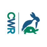 Junior Wildlife Rescuers Day Camp